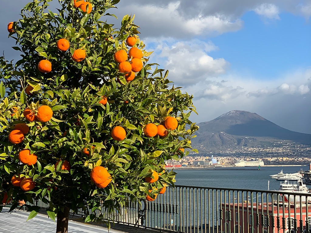 Napleswise | Naples by Month | Naples in February