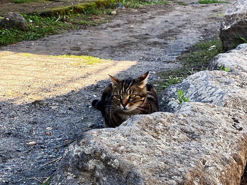 Napleswise | Naples by Month | Naples in October